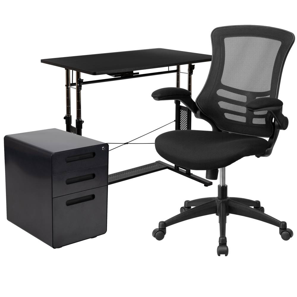 DIONYSUS Work From Home Kit - Adjustable Computer Desk, Ergonomic Mesh ...